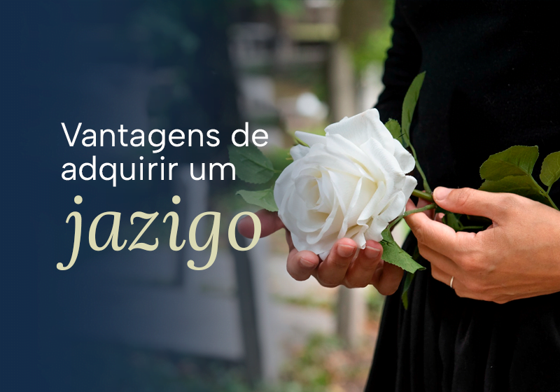 Modelos de jazigo: quais são, principais diferenças e mais